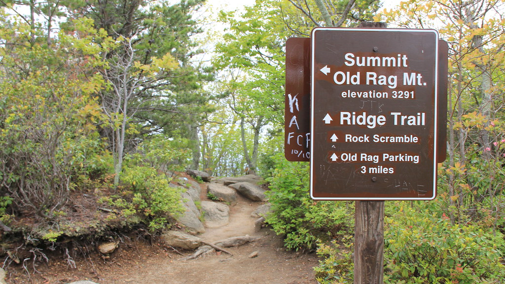 Old Rag Mountain Hiking Guide – Shenandoah National Park’s Iconic ...